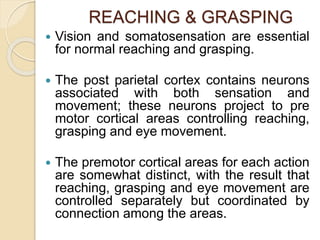 Physiology of movement | PPTX
