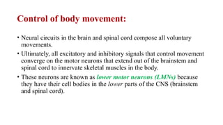 (Physiology of Movement and Balance)_Lecture 3.pptx