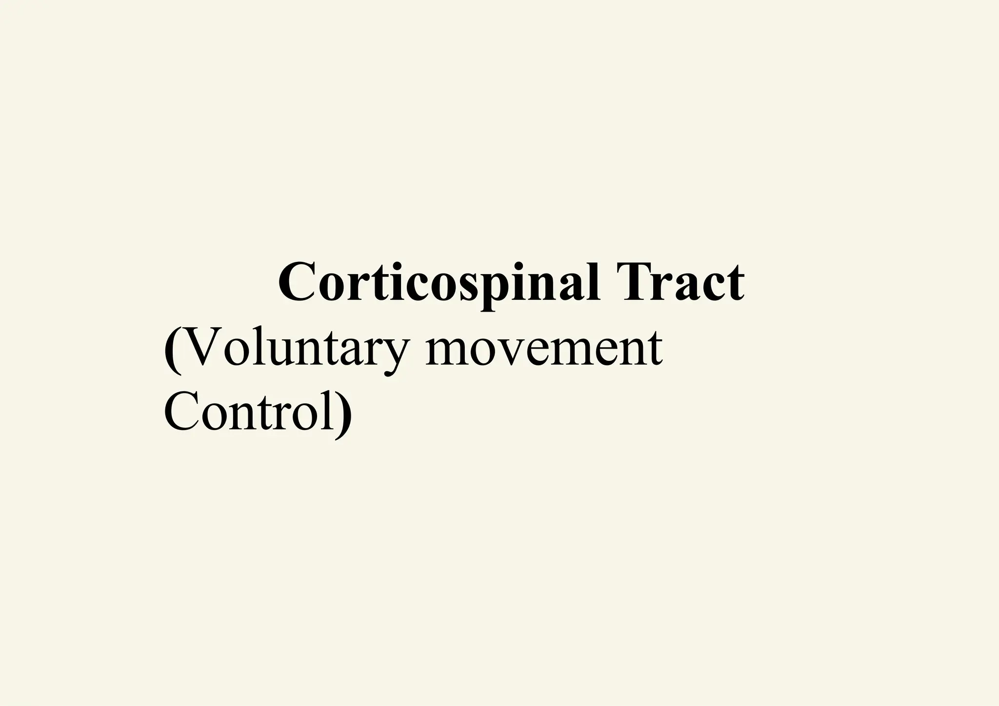 Physiology of movement (motor command, transmission, propioception ...