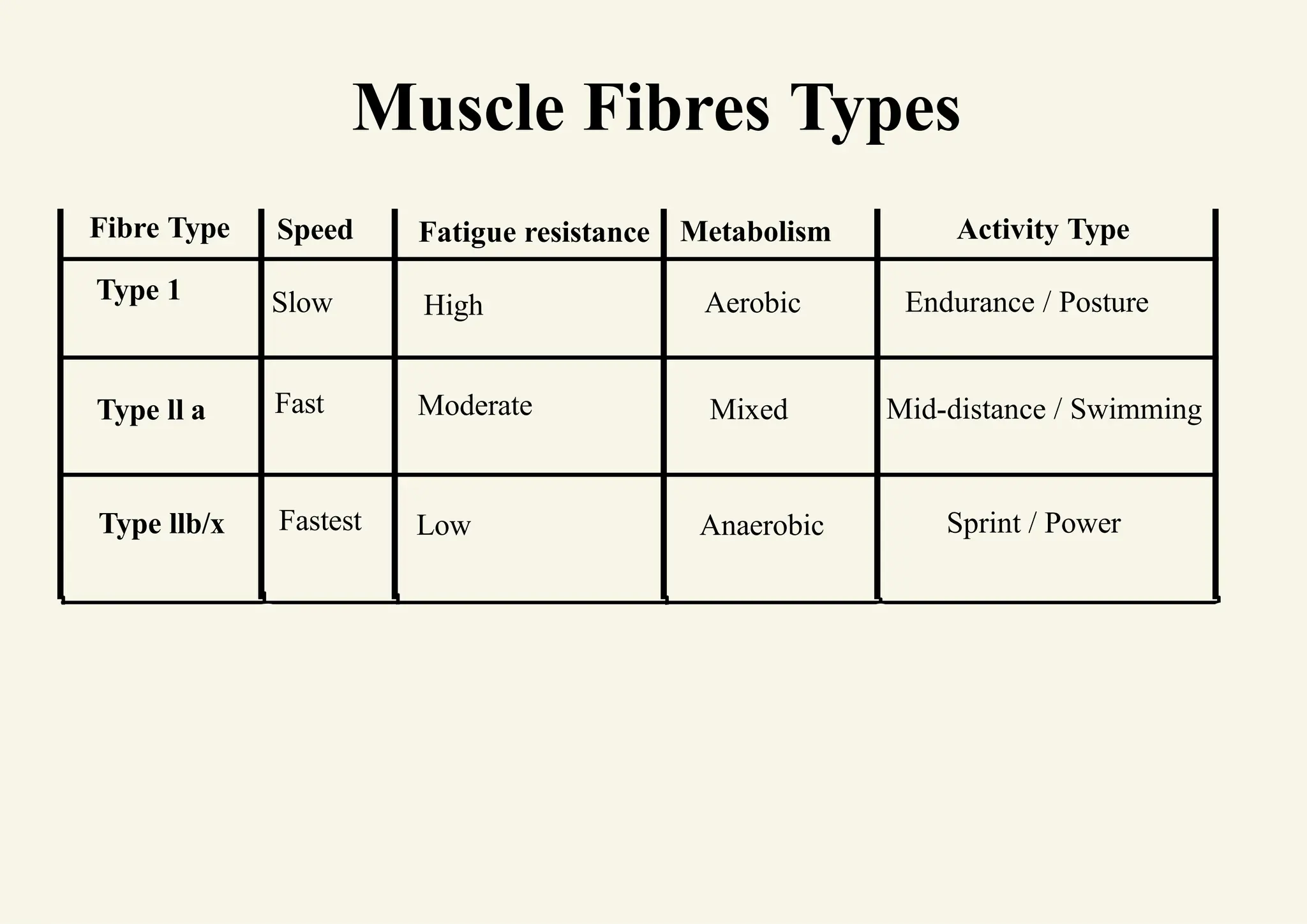 Physiology of movement (motor command, transmission, propioception ...