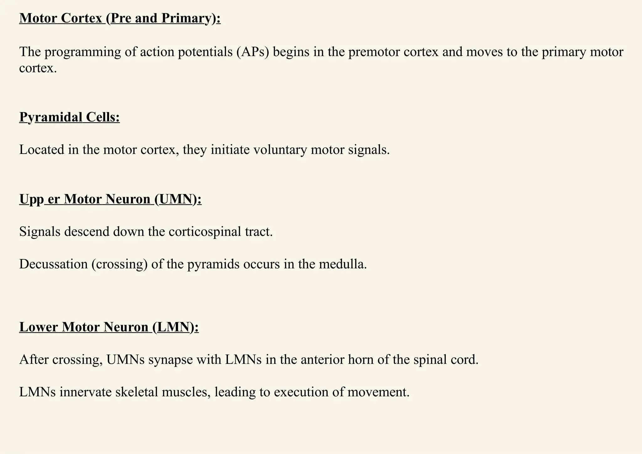 Physiology of movement (motor command, transmission, propioception ...