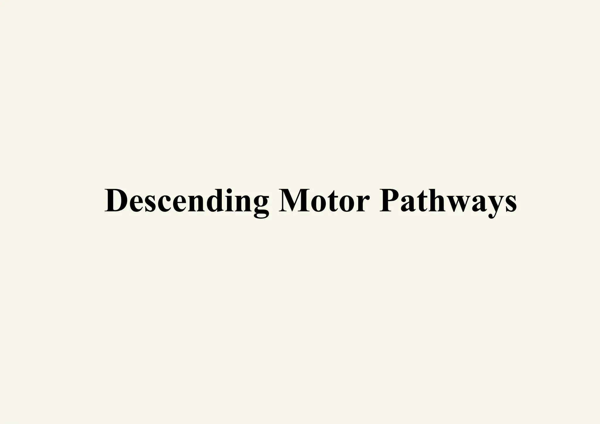 Physiology of movement (motor command, transmission, propioception ...