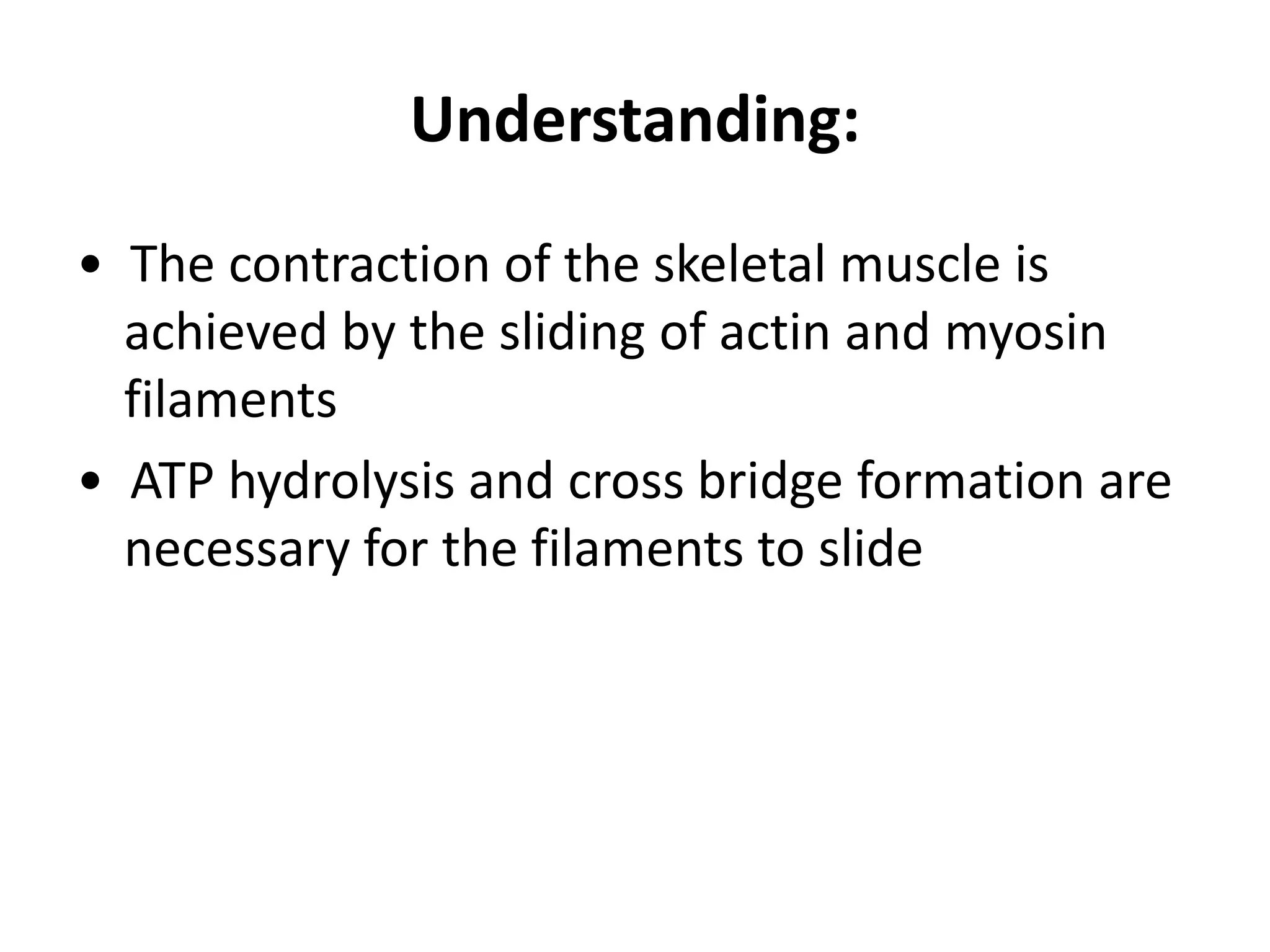 physiology of muscle contraction.pptx