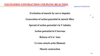 PHYSIOLOGY OF MUSCLE CONTRACTION.pptx
