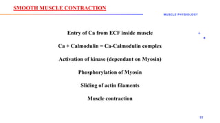 PHYSIOLOGY OF MUSCLE CONTRACTION.pptx