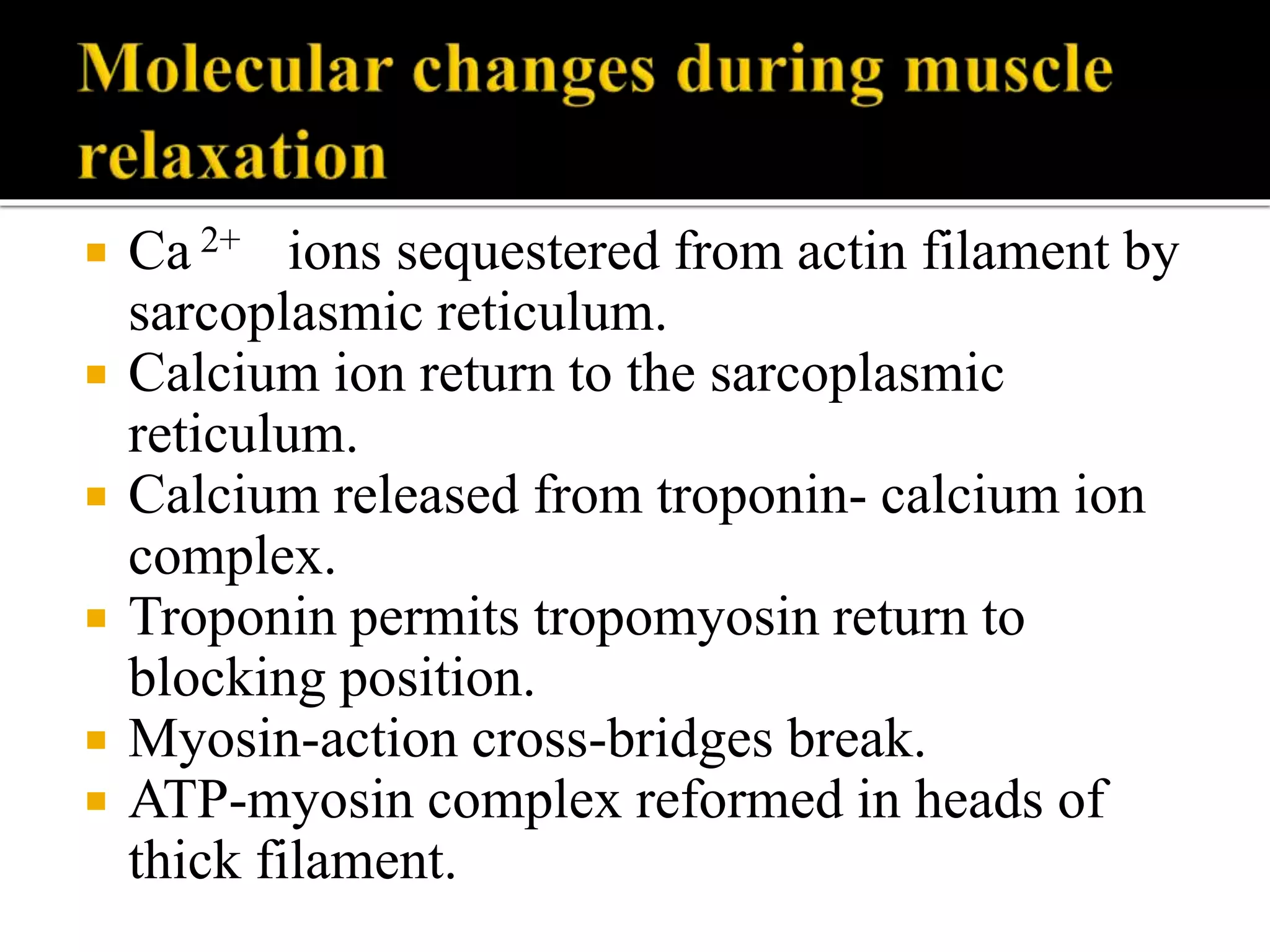 PHYSIOLOGY OF MUSCLE CONTRACTION | PPTX