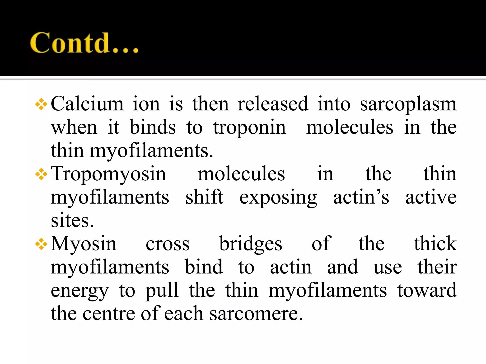 PHYSIOLOGY OF MUSCLE CONTRACTION | PPTX