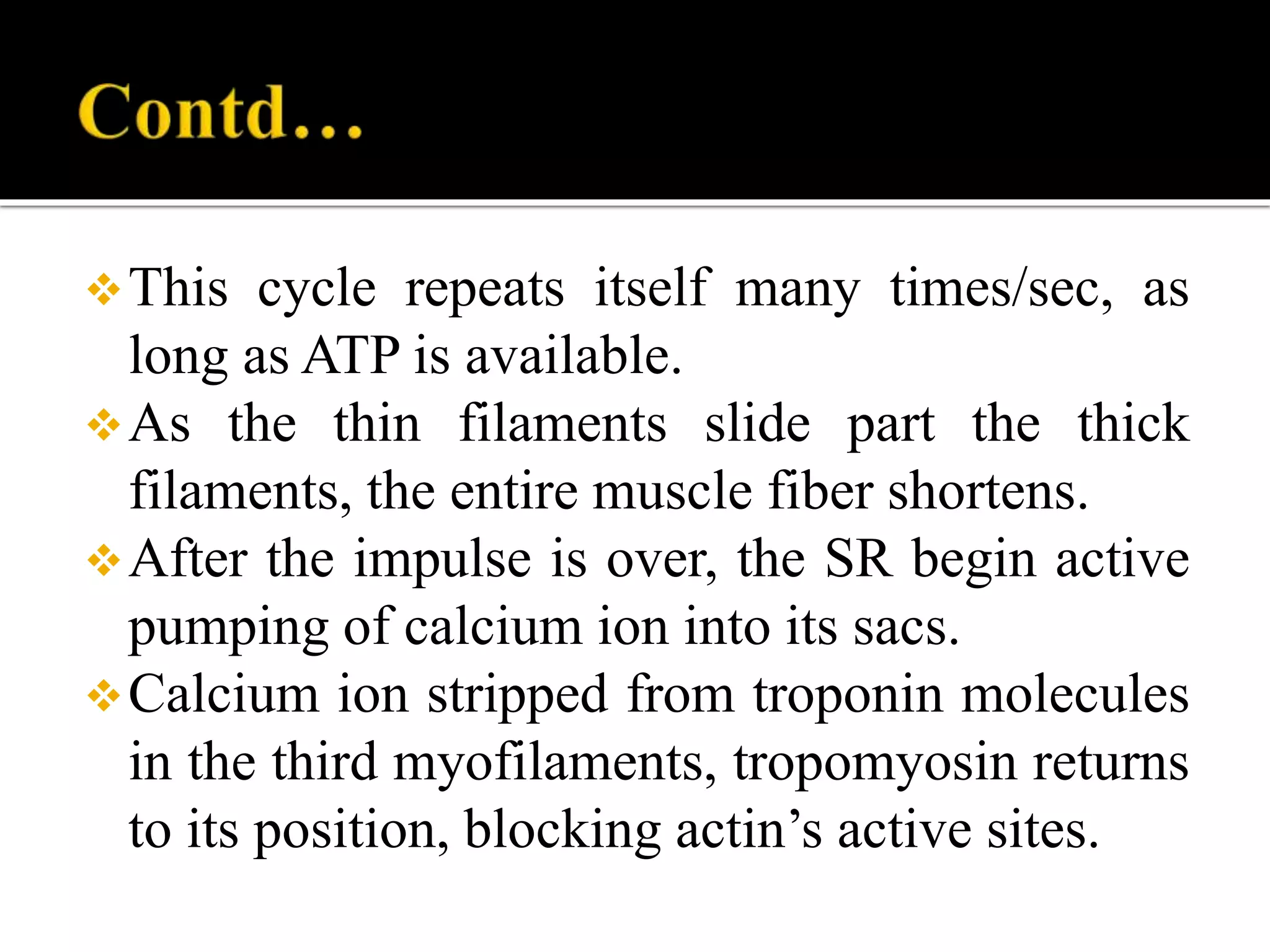 PHYSIOLOGY OF MUSCLE CONTRACTION | PPTX
