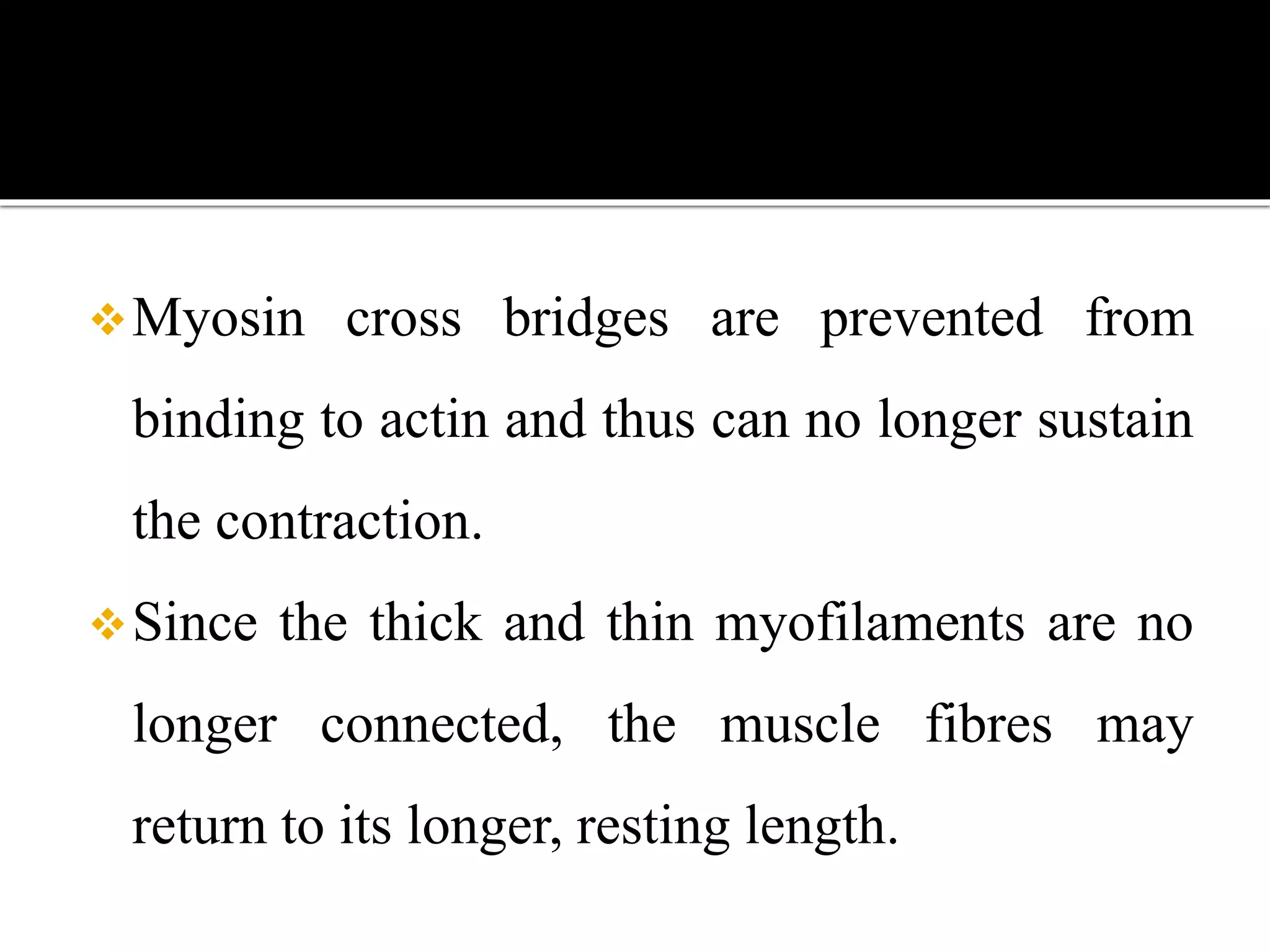PHYSIOLOGY OF MUSCLE CONTRACTION | PPTX
