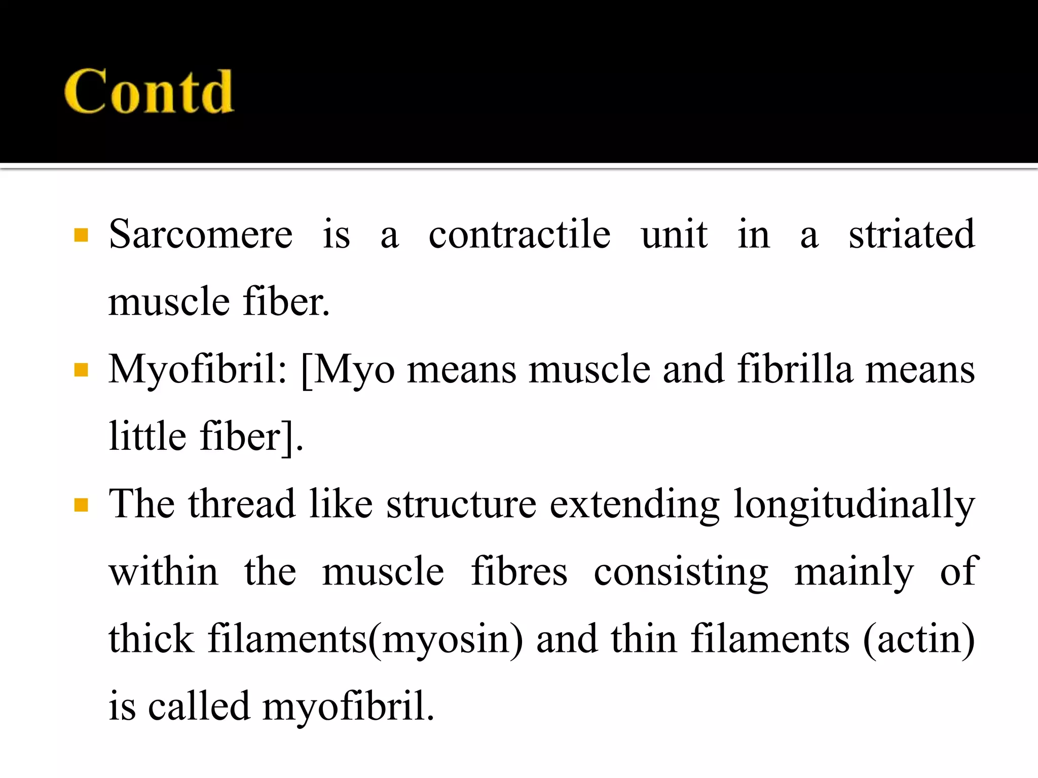 PHYSIOLOGY OF MUSCLE CONTRACTION | PPTX