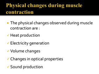 PHYSIOLOGY OF MUSCLE CONTRACTION | PPTX