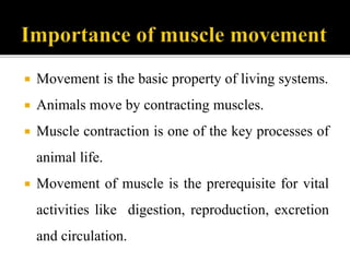 PHYSIOLOGY OF MUSCLE CONTRACTION | PPTX
