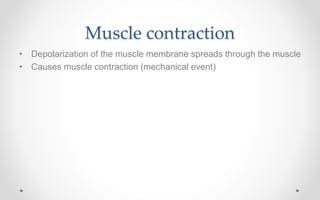 Physiology of muscle performance - exercise therapy.pptx