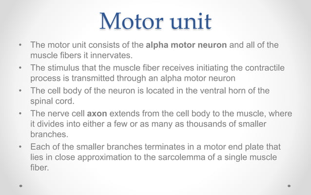 Physiology of muscle performance - exercise therapy.pptx
