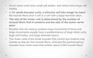 Physiology of muscle performance - exercise therapy.pptx
