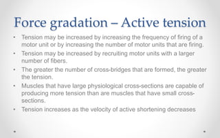 Physiology of muscle performance - exercise therapy.pptx