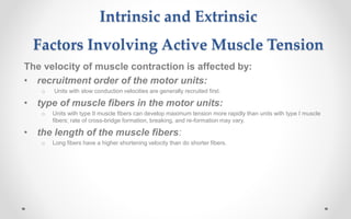 Physiology of muscle performance - exercise therapy.pptx