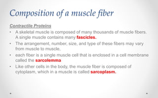 Physiology of muscle performance - exercise therapy.pptx