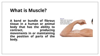 PHYSIOLOGY OF MUSCLES & IT'S CLASSIFICATION.pptx