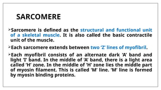 PHYSIOLOGY OF MUSCLES & IT'S CLASSIFICATION.pptx