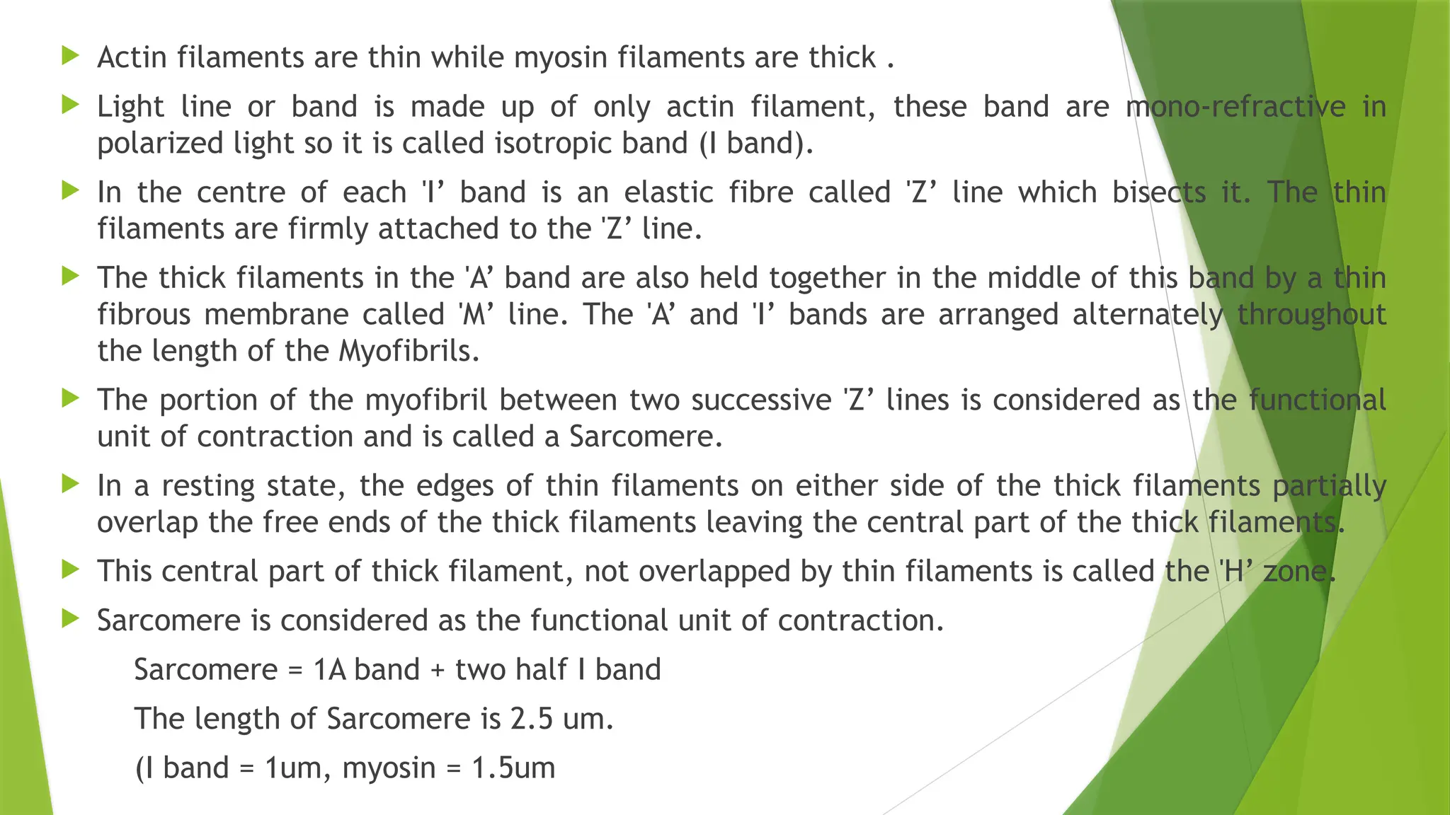 Physiology of muscles by Pravesh M.Sc. II year.pptx | Biological Sciences | Science