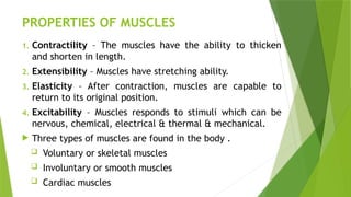 Physiology of muscles by Pravesh M.Sc. II year.pptx | Biological ...