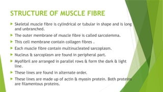 Physiology of muscles by Pravesh M.Sc. II year.pptx