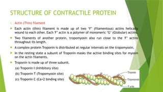 Physiology of muscles by Pravesh M.Sc. II year.pptx