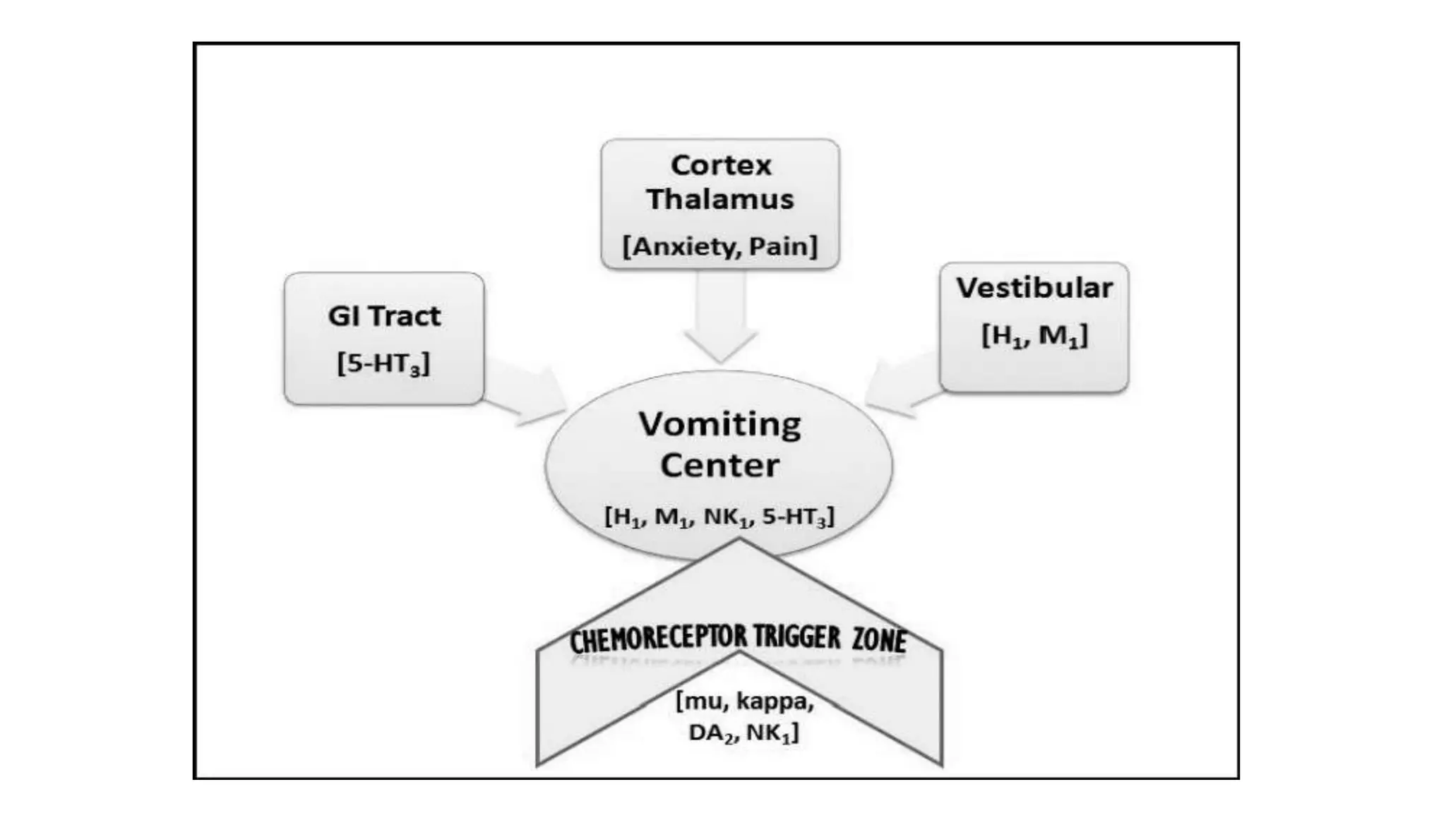Physiology of nausea and vomiting , vomiting in | PPTX