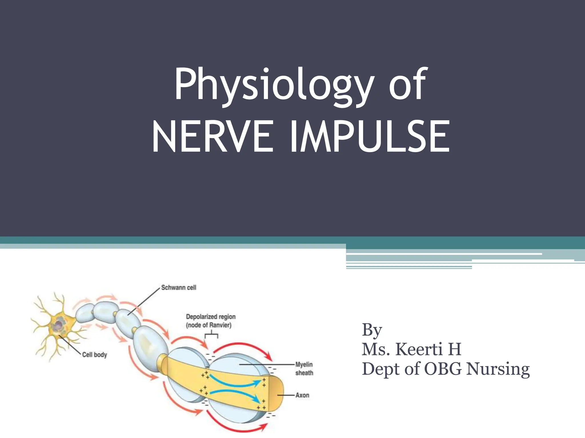 Physiology of NERVE IMPULSE and action potential | PPTX