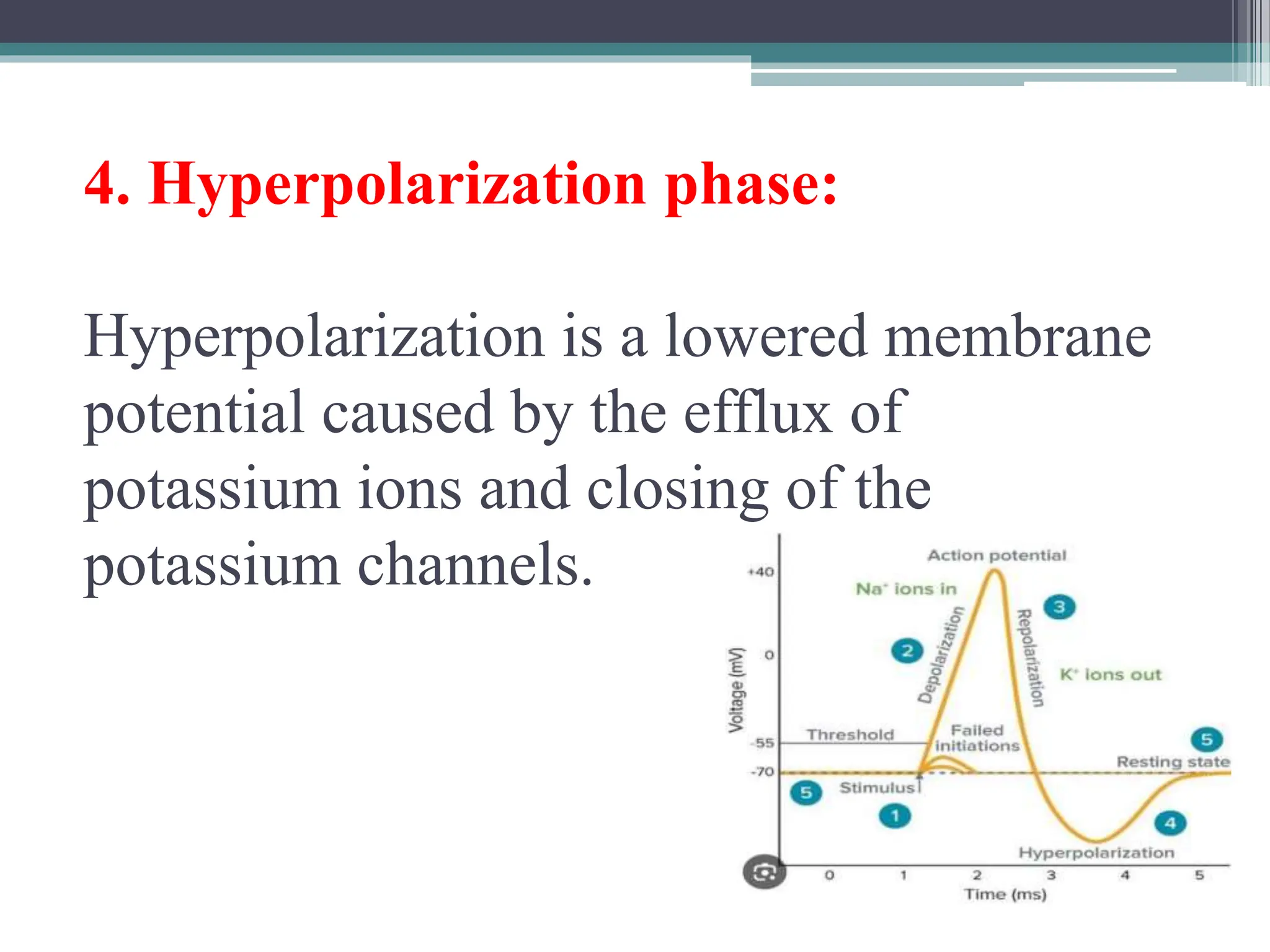 Physiology of NERVE IMPULSE and action potential | PPTX
