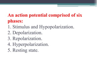 Physiology of NERVE IMPULSE and action potential | PPTX | Brain and ...