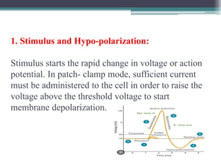 Physiology of NERVE IMPULSE and action potential | PPTX