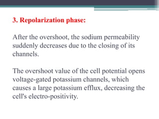 Physiology of NERVE IMPULSE and action potential | PPTX | Brain and ...