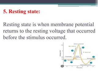 Physiology of NERVE IMPULSE and action potential | PPTX | Brain and ...