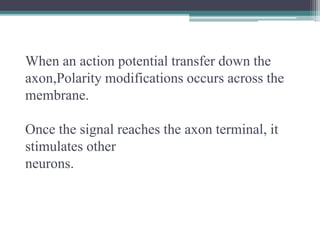 Physiology of NERVE IMPULSE and action potential | PPTX