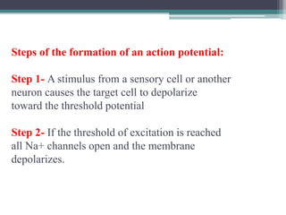 Physiology of NERVE IMPULSE and action potential | PPTX | Brain and ...