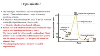 Physiology of nerve impulse and synaptic transmission.pptx