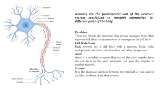 Physiology of nerve impulse and synaptic transmission.pptx