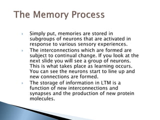 Physiology Of Nervous System | PDF