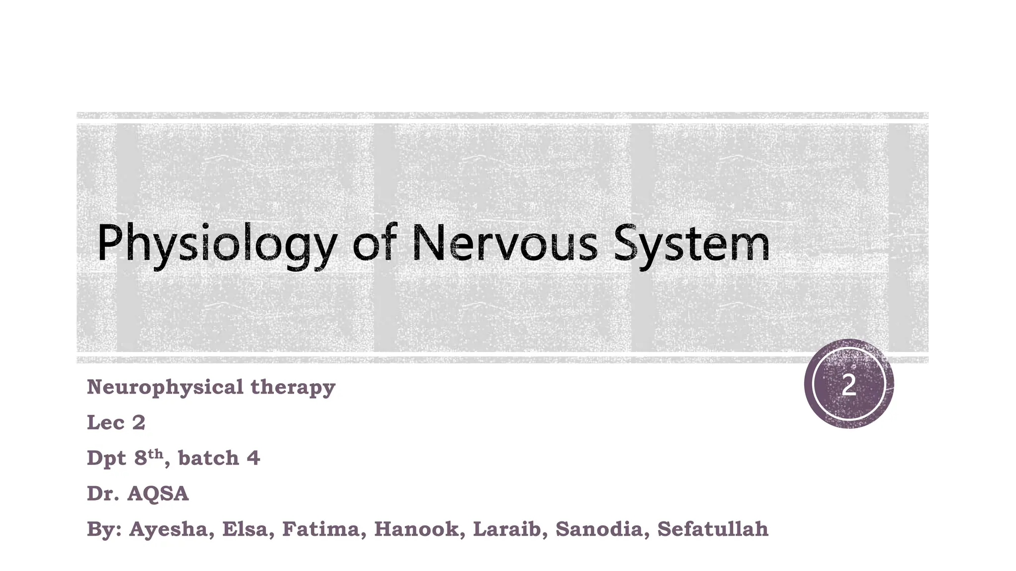 Physiology of Nervous System presentation.pptx