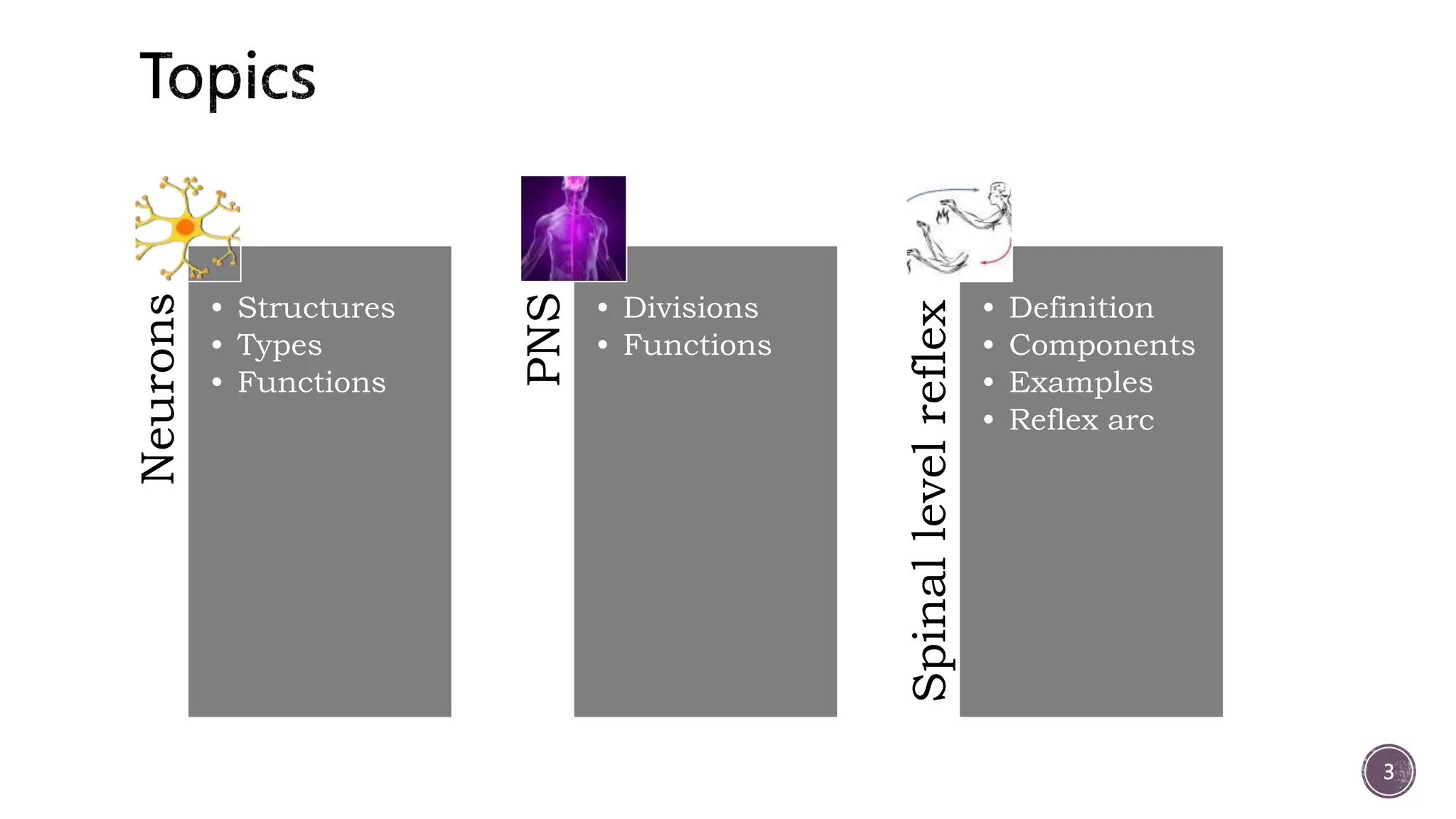 Physiology of Nervous System presentation.pptx