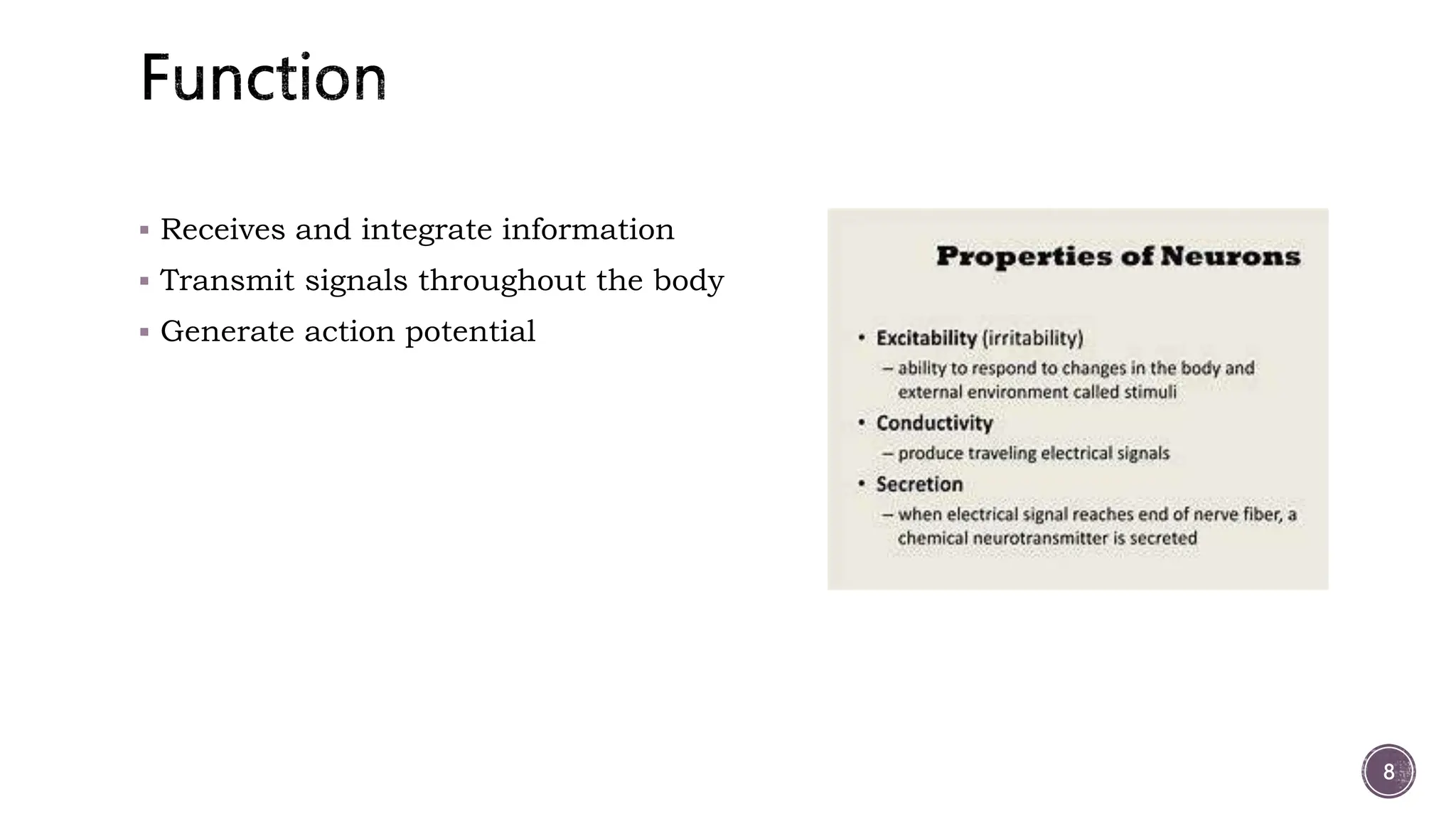 Physiology of Nervous System presentation.pptx