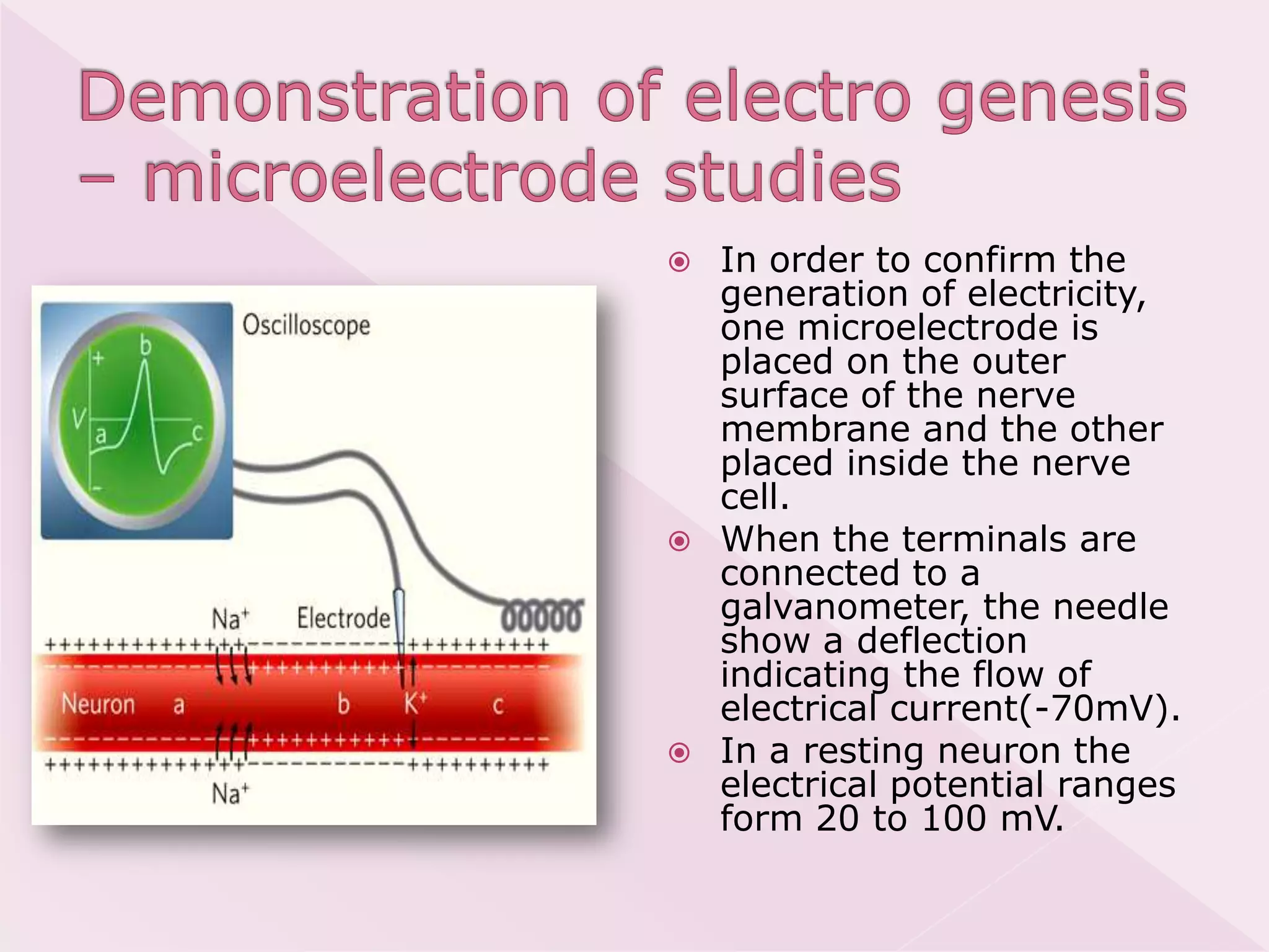 Physiology of neurotransmission | PPTX