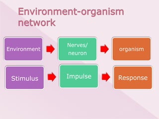 Physiology of neurotransmission | PPTX