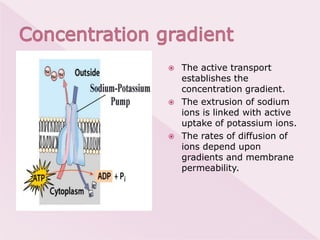 Physiology of neurotransmission | PPTX