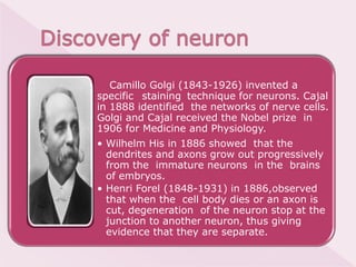 Physiology of neurotransmission | PPTX