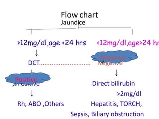 Physiology of new born jaundice | PPTX