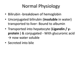 Physiology of new born jaundice | PPTX