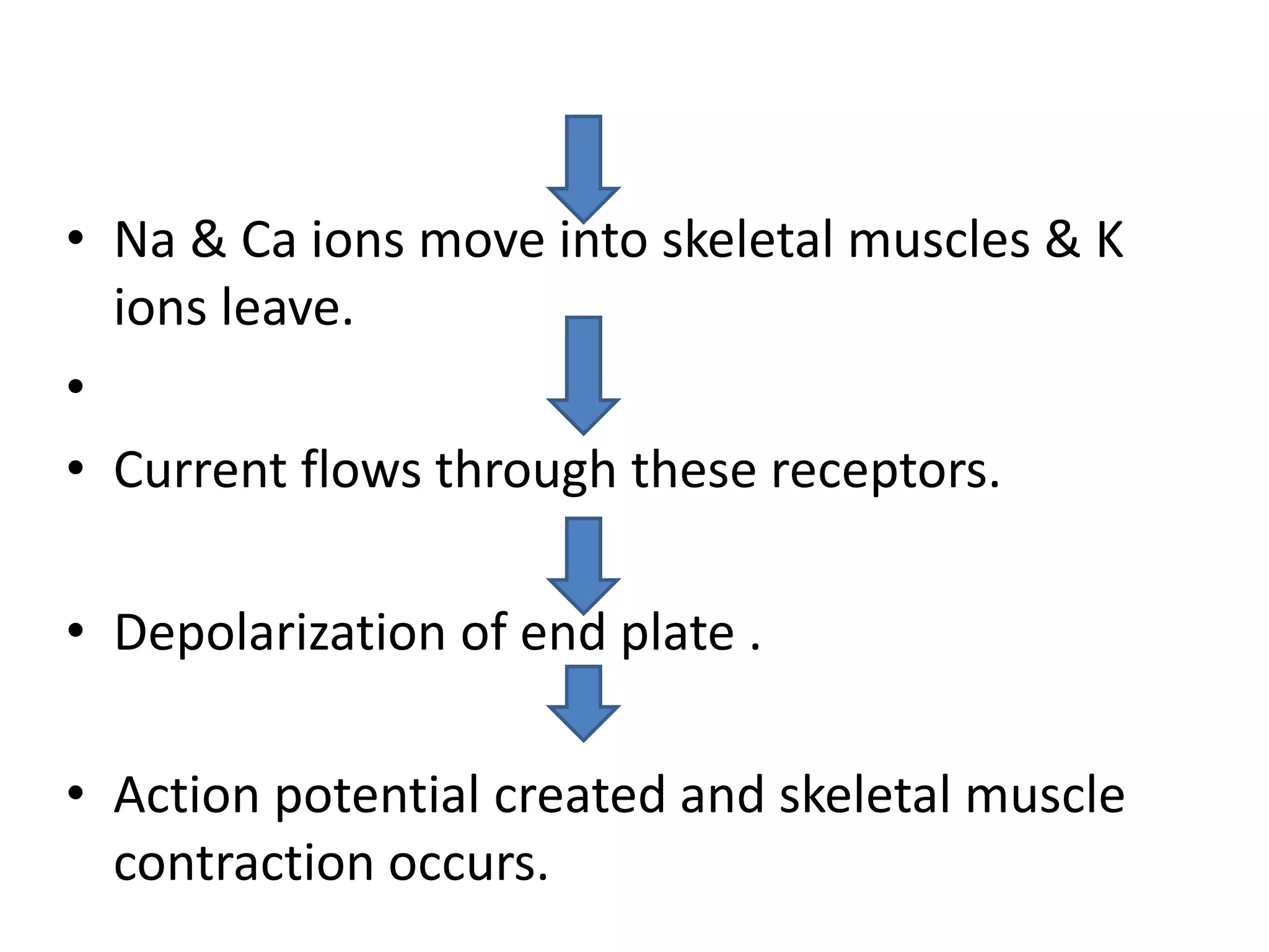 Physiology of nmj and anesthesia | PPTX